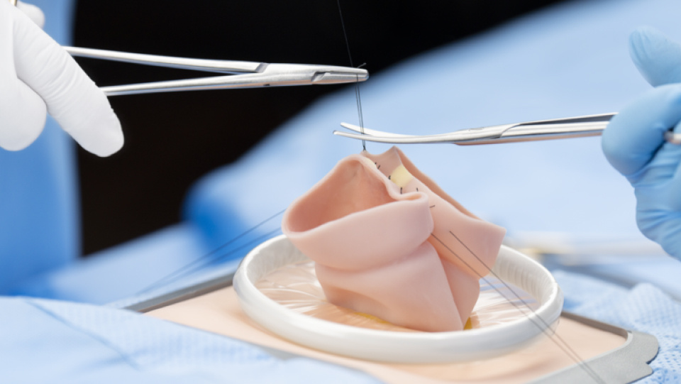 2025 SEW Annual Meeting | Simsei Simulation